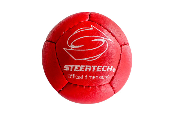【本革】ボッチャボール単品 – Steertech Boccia